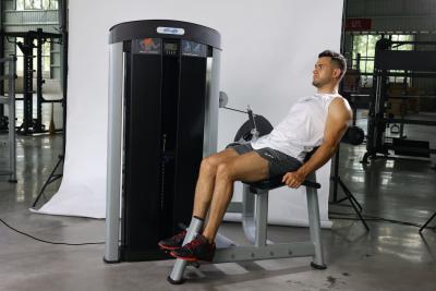 Cina Diretto seduto back extension trainer per l' allenamento della forza muscolare Pin Selezione del carico in vendita
