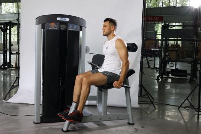 Cina Diretto seduto back extension trainer per l' allenamento della forza muscolare Pin Selezione del carico in vendita