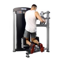 China Medium Loader Pin Selection Torso Rotation Machine for Strength Training Bodybuilding for sale