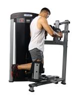 China Medium Loader Pin Selection Torso Rotation Machine for Strength Training Bodybuilding for sale