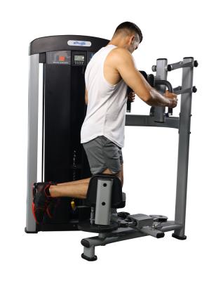 Cina Medium Loader Pin Selection Torso Rotation Machine per allenamento di forza bodybuilding in vendita
