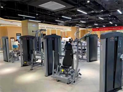 Cina Medium Loader Pin Selection Chest Press Machine per il bodybuilding allenamento funzionale in vendita