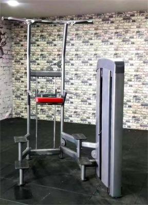 中国 筋トレジムでピンの負荷選択マシンでトレーニングルーチンをアップグレードします 販売のため