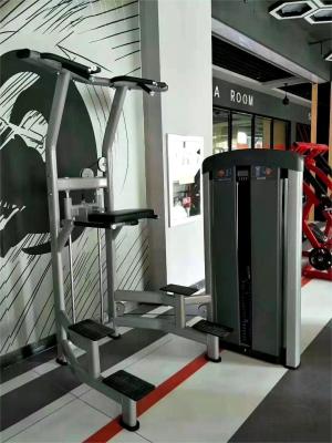 中国 筋トレジムでピンの負荷選択マシンでトレーニングルーチンをアップグレードします 販売のため