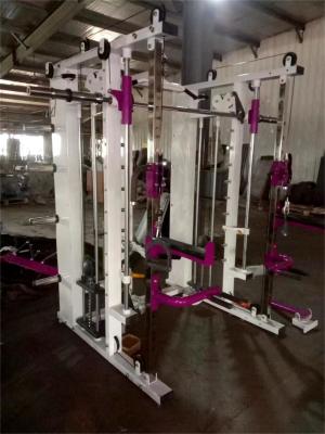 中国 ホームジムステーション 多機能の電源ケーブル カーソバー ボディビルディングとスクワットラック 販売のため