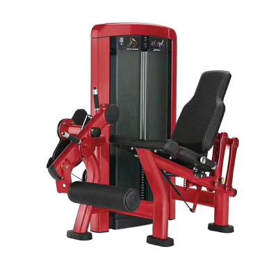 Cina Allenamento di forza Bodybuilding Leg Extension Machine con selezione di pin di caricatore medio in vendita