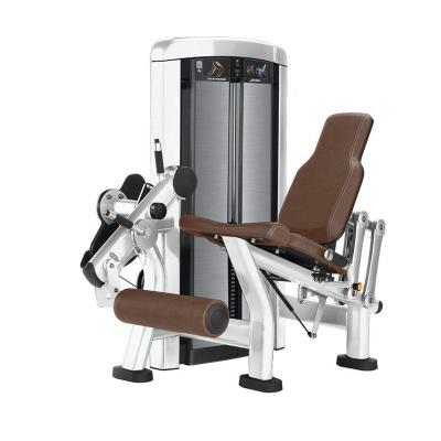 Cina Allenamento di forza Bodybuilding Leg Extension Machine con selezione di pin di caricatore medio in vendita