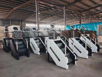 China Bodybuilding Gym Machine Trappenklimmer Commerciële Trappenmeester Stepper Oefening Te koop