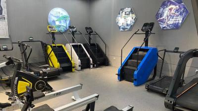 China Bodybuilding Gym Machine Trappenklimmer Commerciële Trappenmeester Stepper Oefening Te koop