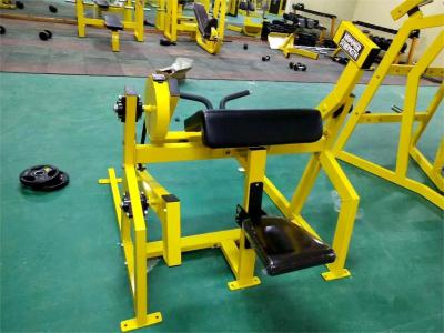 Cina Migliora la tua routine di allenamento con 1200*1300*1200mm Plate Loaded Seated Biceps Machine in vendita