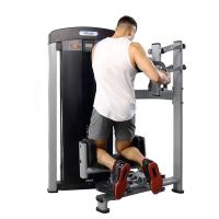 China Medium Loader for Torso Rotation Training Fitness Bodybuilding Exercise Function for sale