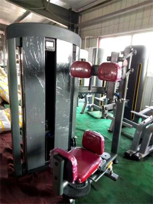 中国 トルソ・ローテーショントレーニング フィットネス ボディビルディング 運動機能 販売のため