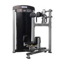 China Medium Loader for Torso Rotation Training Fitness Bodybuilding Exercise Function for sale