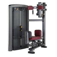 China Medium Loader for Torso Rotation Training Fitness Bodybuilding Exercise Function for sale