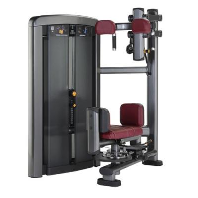 中国 トルソ・ローテーショントレーニング フィットネス ボディビルディング 運動機能 販売のため