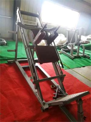 Cina Universal 2 in 1 Hack Squat Leg Press Machine per l'allenamento di forza 2385*1510*1660mm in vendita