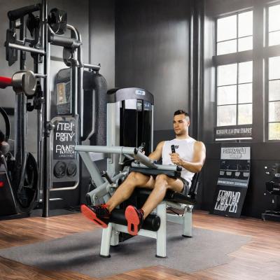 Cina Macchina commerciale di estensione delle gambe e curl con pin selezione di carico 80 kg di peso stack in vendita