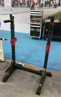 Cina Power Rack Design in metallo interno per ginnastica domestica commerciale Fitness e body building in vendita