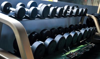 Cina 19.5 kg Capacità di carico attrezzature per palestra attrezzature per fitness manubri scaffalatore di stoccaggio design pieghevole in vendita