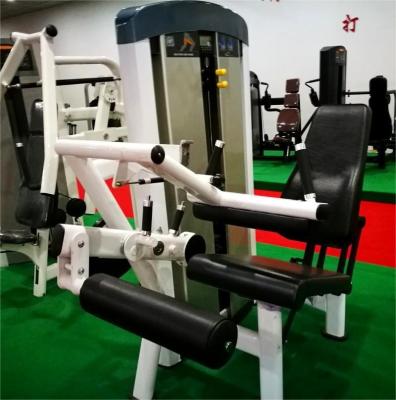 Cina Potenziare il tuo viaggio di bodybuilding con Hammer Strength Leg Extension e Curl Machine in vendita