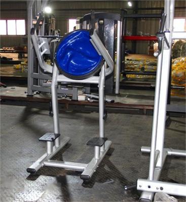 Cina Strength Training Fitness Power Rack con assistito Chin Dip e Pin Load Selection in vendita