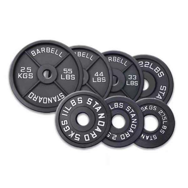 Quality Professional Cast Iron Weight Plates for Strength Training Unisex Home Gym Equipment for sale