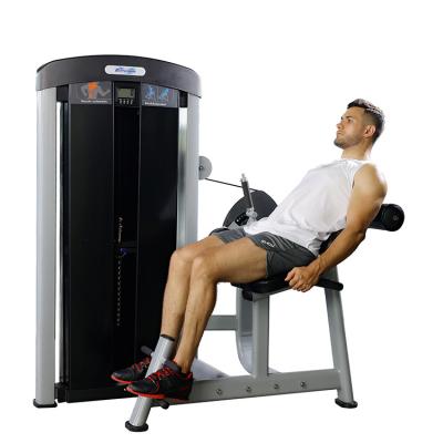 Cina 3.0mm Tubo Strength Training Indoor Sitting Calf Raising Machine con selezione del carico degli spilli in vendita