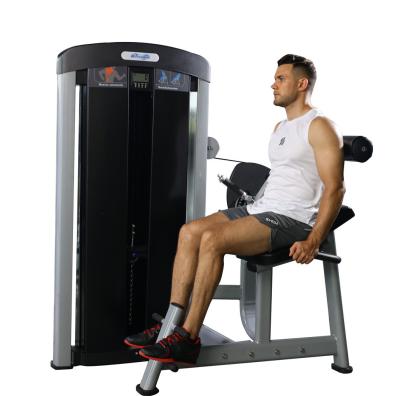 Cina 3.0mm Tubo Strength Training Indoor Sitting Calf Raising Machine con selezione del carico degli spilli in vendita