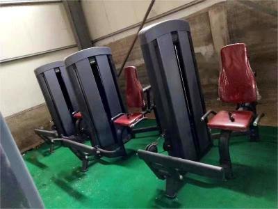 Cina 3.0mm Tubo Strength Training Indoor Sitting Calf Raising Machine con selezione del carico degli spilli in vendita
