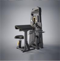 China Dual-function Seated Shoulder Back Workout Bicep Tricep Machine for Building Body for sale