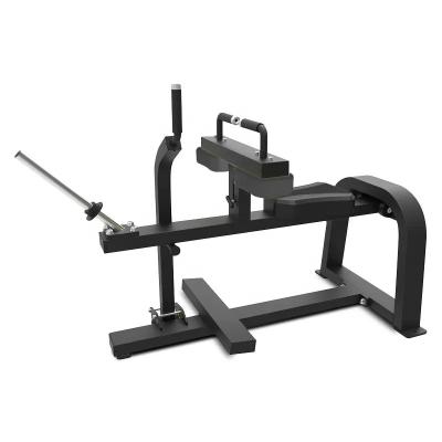 Cina Apparecchiature per fitness per palestra commerciale Macchina per sollevare i vitelli con logo personalizzato disponibile in vendita