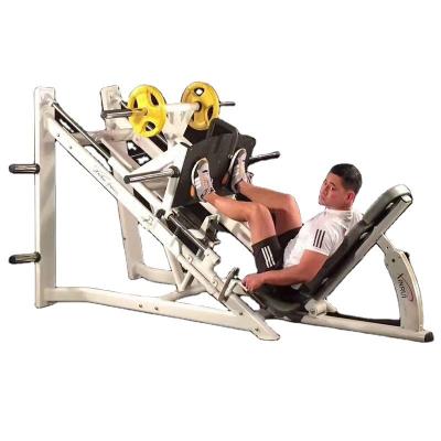 Cina Logo personalizzato 236KG Strength Training Leg Press Machine per attrezzature di palestra commerciali in vendita