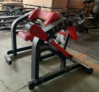 Cina Diretto Gym Fitness attrezzatura seduta Bicep Curl Machine con opzione personalizzata in vendita