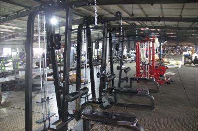 Cina Attrezzature di palestra per allenamento della forza multifunzione per il rafforzamento delle spalle e della schiena in vendita