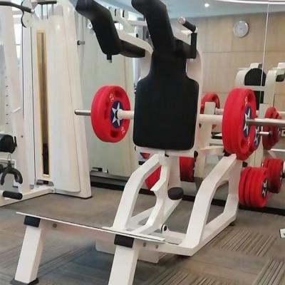 Cina Home Commerciale Esercizi Piastre caricate macchine per Leg Press e Hack Squat Back Training in vendita