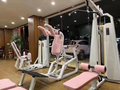 Cina Home Commerciale Esercizi Piastre caricate macchine per Leg Press e Hack Squat Back Training in vendita