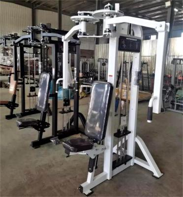 Cina Commerciale 2 in 1 Pin Selezione carico seduta Pec Deck Fly Machine per l'esercizio di peso in vendita