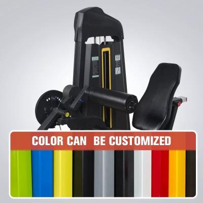 Cina Home Gym attrezzatura per esercizi 2 in 1 seduta Leg Extension Curl Machine per bodybuilding in vendita