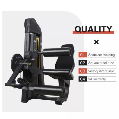 Cina Home Gym attrezzatura per esercizi 2 in 1 seduta Leg Extension Curl Machine per bodybuilding in vendita