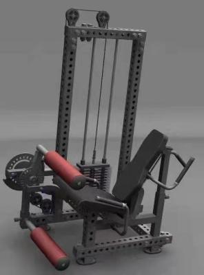 Cina Equipaggiamento di allenamento per bodybuilding Leg Curl Leg Extension Functional Trainer in vendita