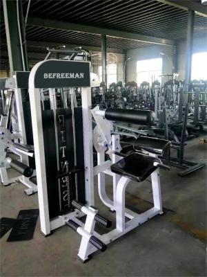 Cina Formazione di forza commerciale Strensamento della schiena Macchina di palestra stile di allenamento con pesi in vendita