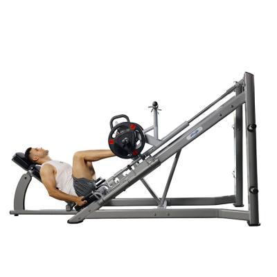 Cina 45 gradi di pressione per la costruzione muscolare delle gambe in un club di fitness commerciale 2880*1550*1500 in vendita