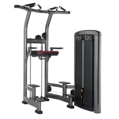 Cina Costruzione del corpo allenamento universale Pin Selezione di carico Macchine Assistito Chin Dip Machine in vendita