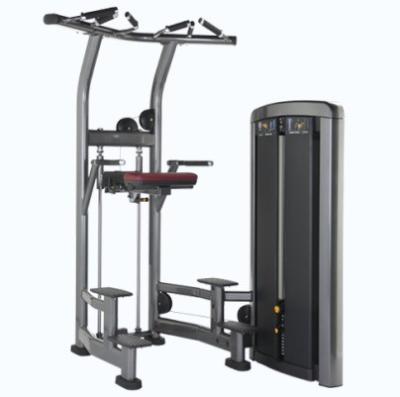 Cina Costruzione del corpo allenamento universale Pin Selezione di carico Macchine Assistito Chin Dip Machine in vendita