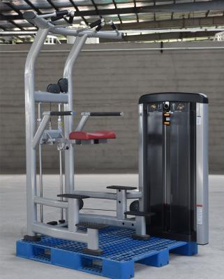 Cina Costruzione del corpo allenamento universale Pin Selezione di carico Macchine Assistito Chin Dip Machine in vendita
