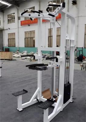 Cina Formazione di forza fisica Macchine per la selezione del carico con pin multifunzione Pull Up Bar Station in vendita