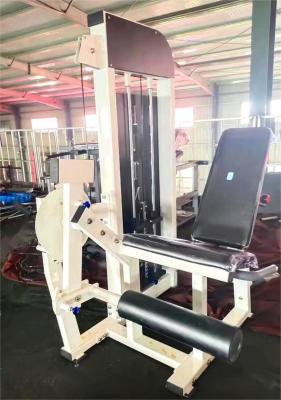 Cina Set di fitness per palestra di allenamento per la forza della macchina per allenatore funzionale di bodybuilding 1200*1050*1630 in vendita