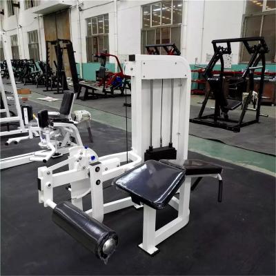 China Weight Stack Pin geladen Leg Curl En Extension Machine Voor Krachttraining Oefening Te koop