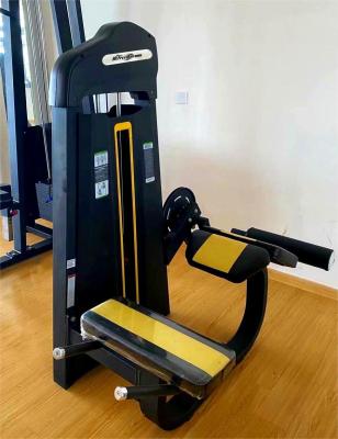 Cina Sperimenta i vantaggi della selezione del carico del perno in acciaio con attrezzature per il curl delle gambe in vendita