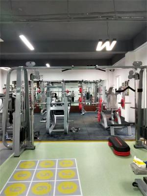 Cina Corpo costruzione Power Rack e Cable Crossover Machine per l'allenamento di forza fitness in vendita